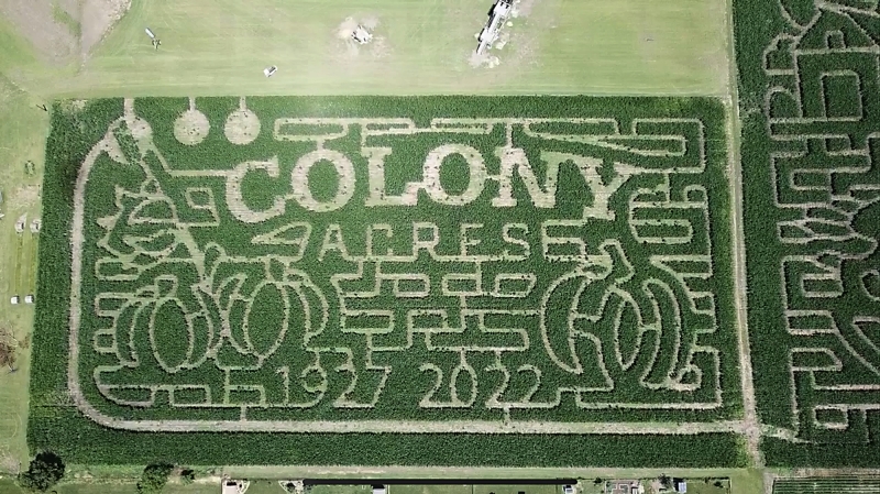 Corn Maze Design Arch