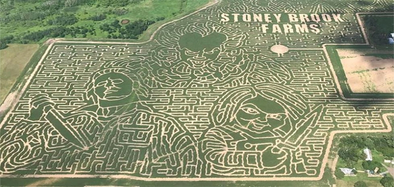 Corn Maze Design Arch
