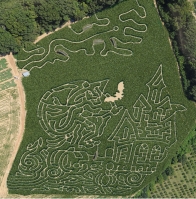 Cartoon Corn Maze Designs