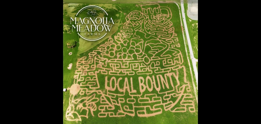 MazePlay - Magnolia Meadow Farms