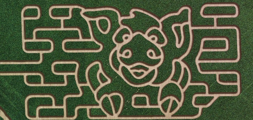 MazePlay - Barnyard Kingdom at Country Barn