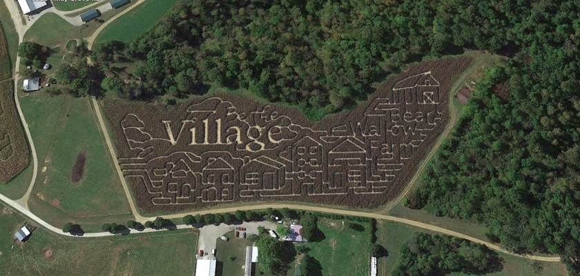 MazePlay - Bear Wallow Farm