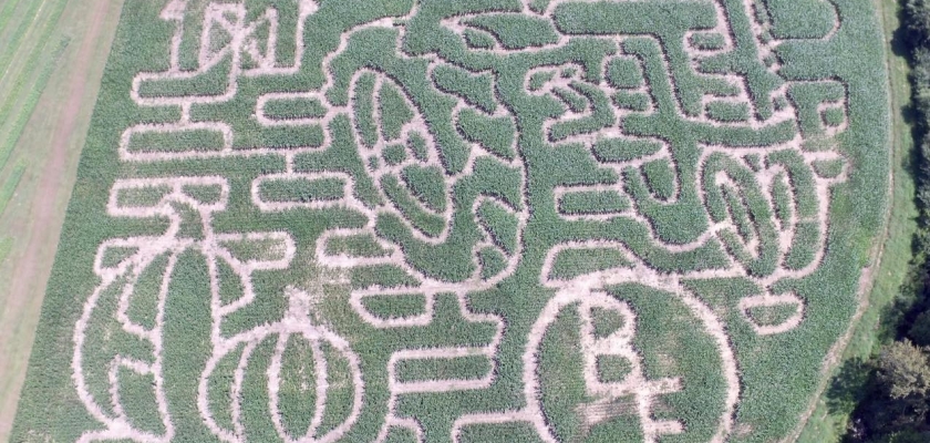 MazePlay - Bennett Farms