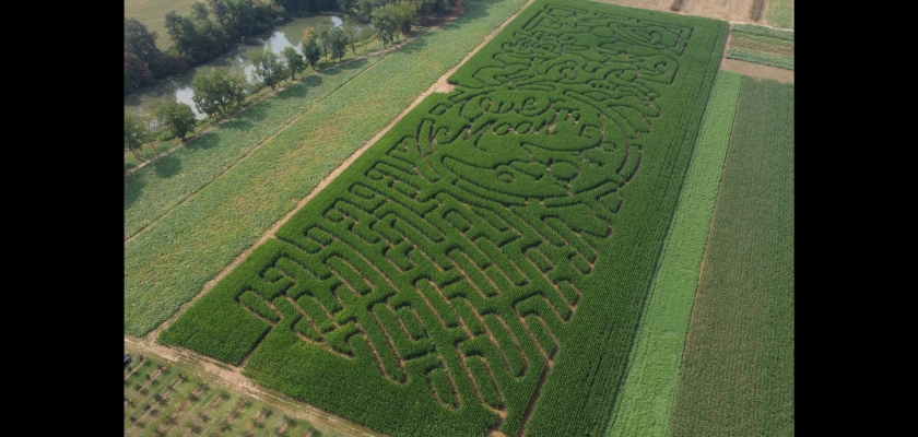 MazePlay - Stone Tavern Orchards