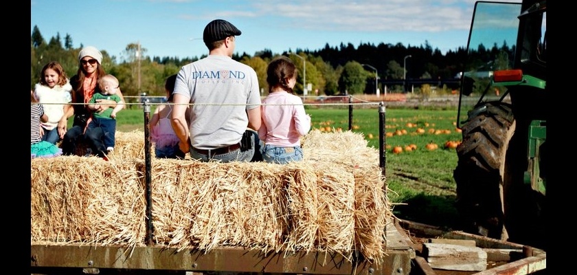 MazePlay - Mosby Farms