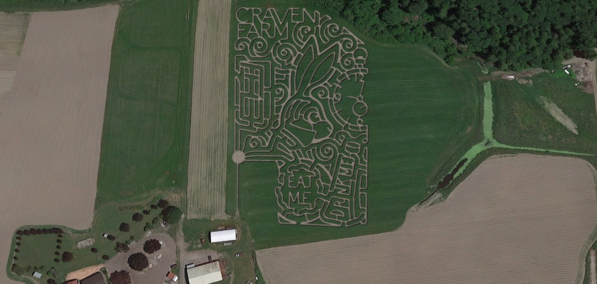 MazePlay - Craven Farm