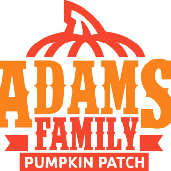 MazePlay - Adams Family Pumpkin Patch