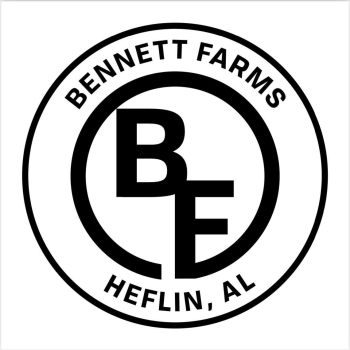MazePlay - Bennett Farms