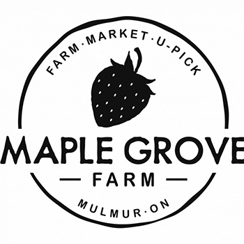 MazePlay - Maple Grove Farm